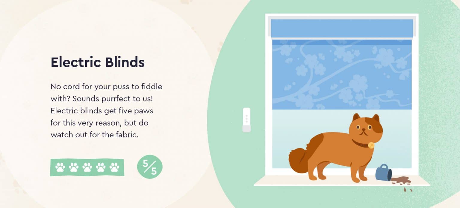 Infographic: What are the Best Blinds for Cat Owners? - Katzenworld